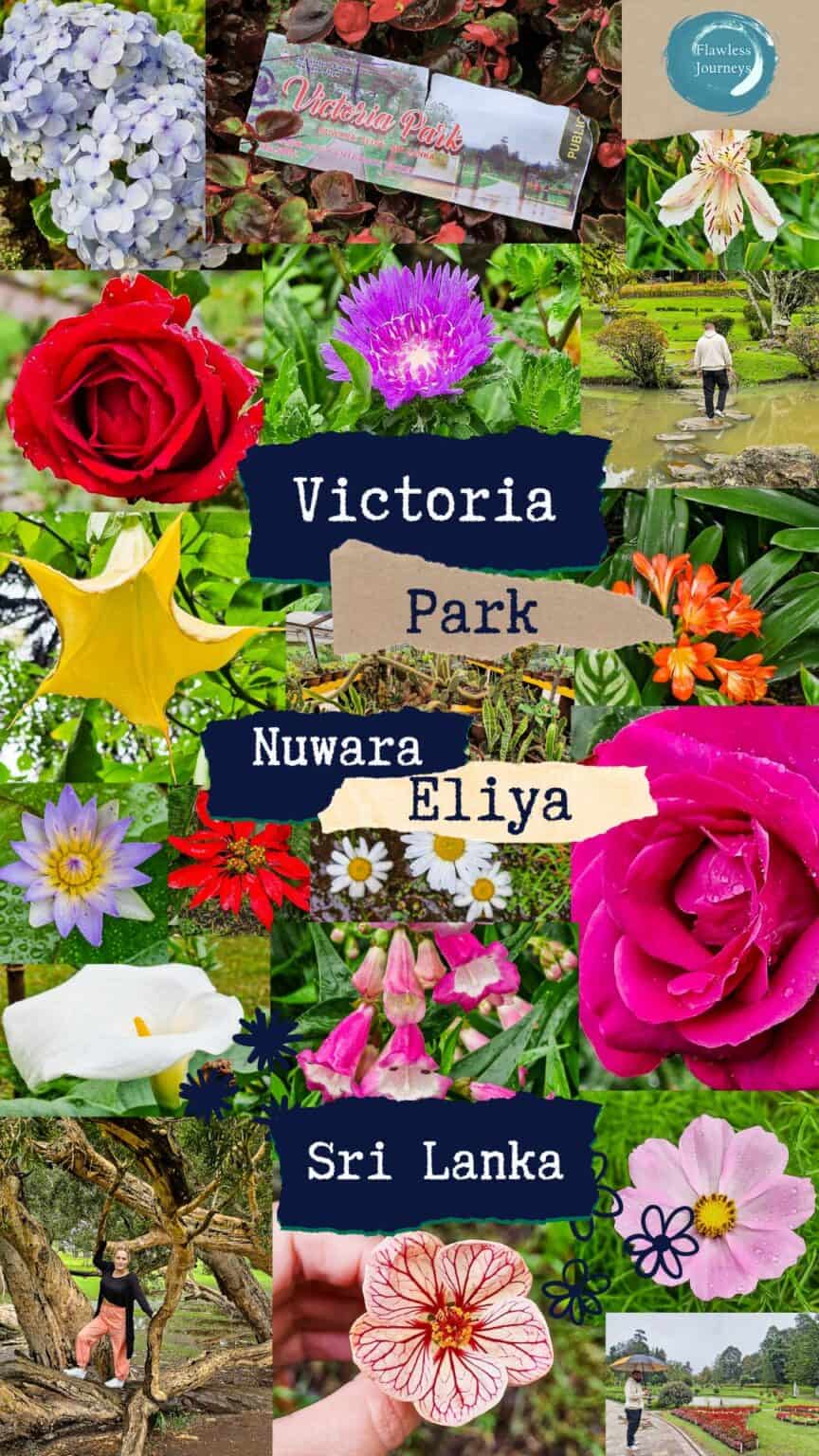 Things to Do in Nuwara Eliya, Sri Lanka - Travel Guide by ...